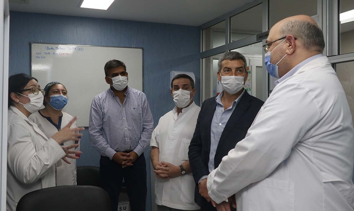 Médula ósea: acciones en conjunto con el MSP – Noticias | Actualidad ...